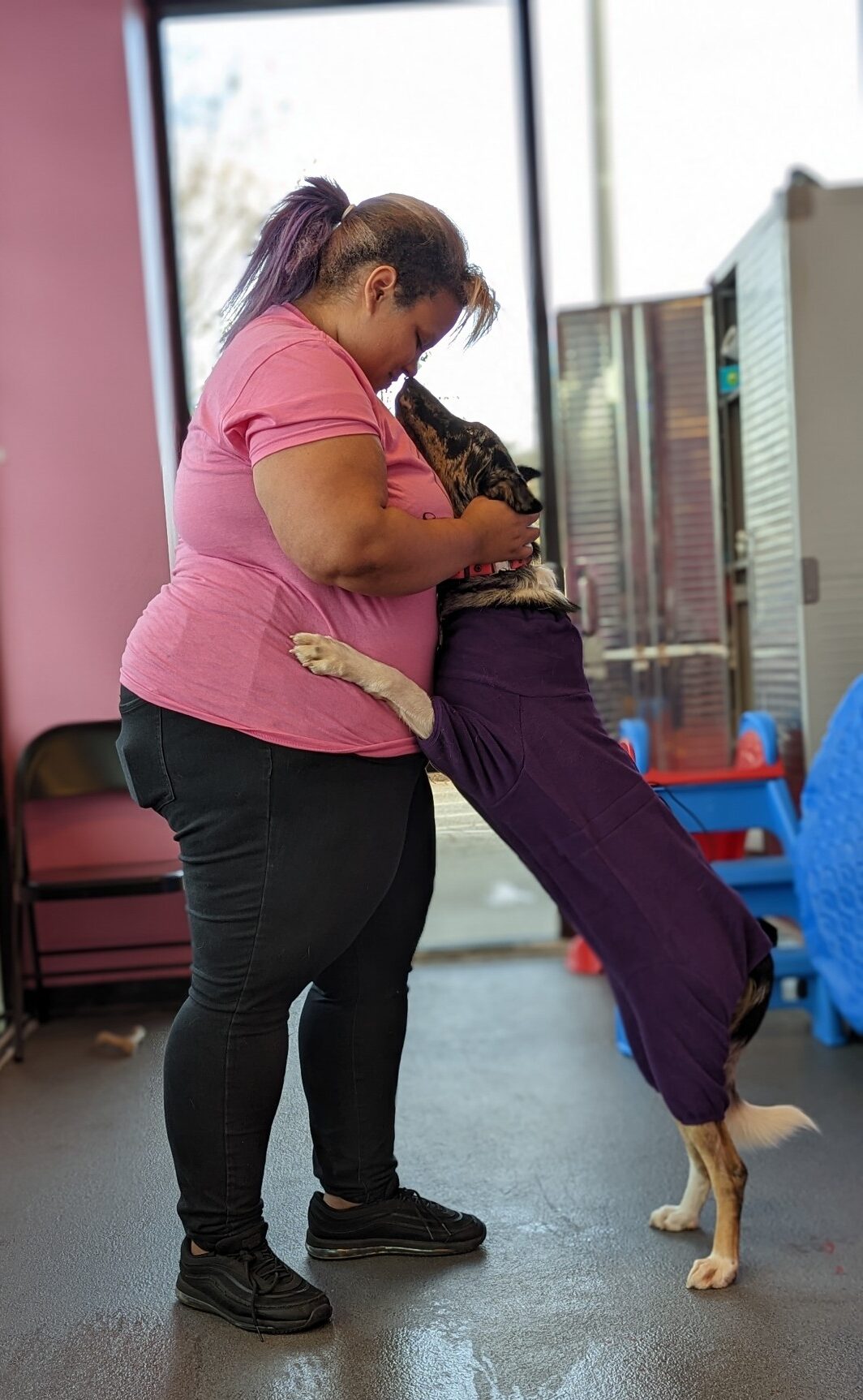 Dog Training - Swanky Paws Pet Spa